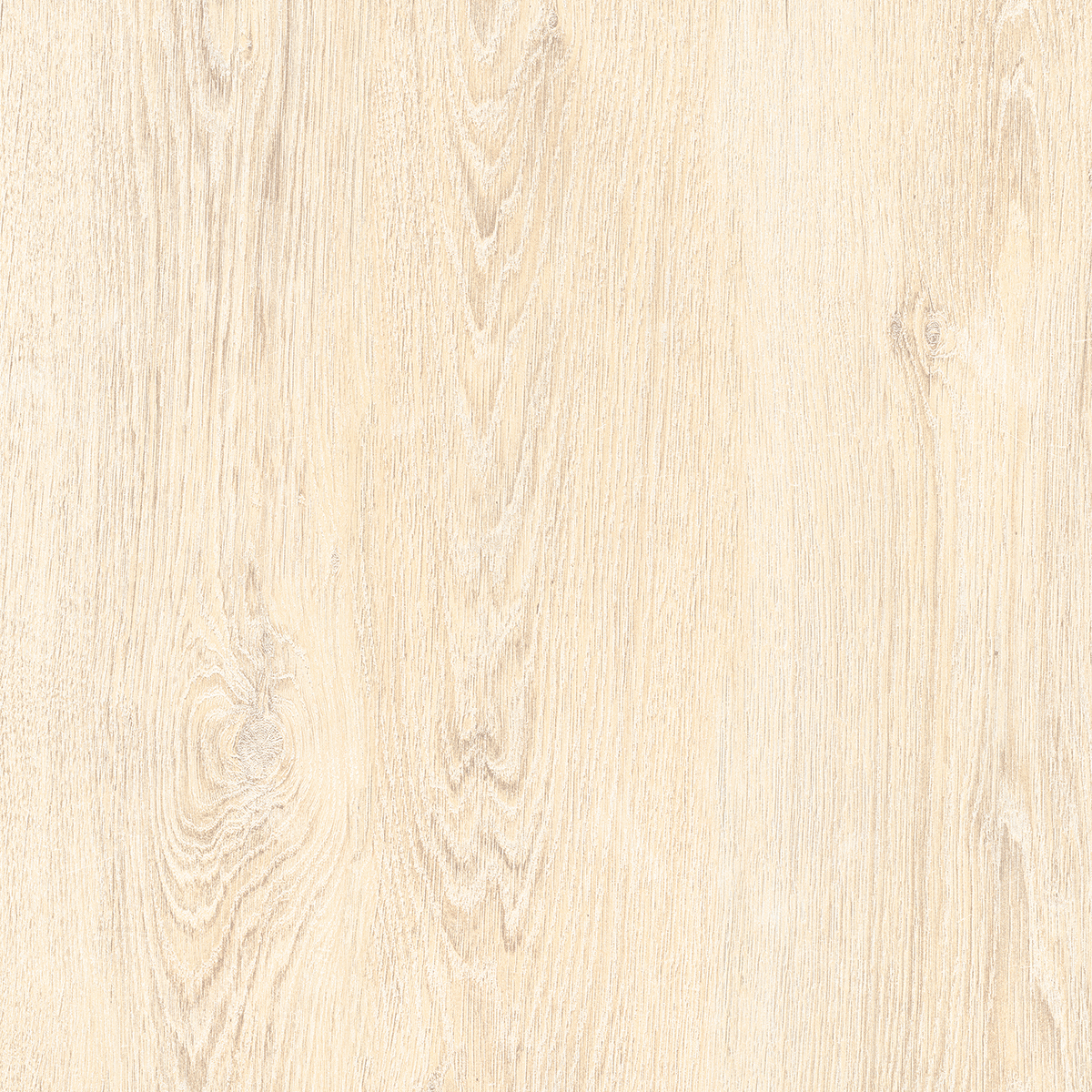 Rei dos Porcelanatos